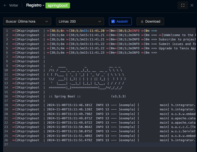Como instalar o Java Standalone / Spring Boot com variáveis de ambiente | iContainer